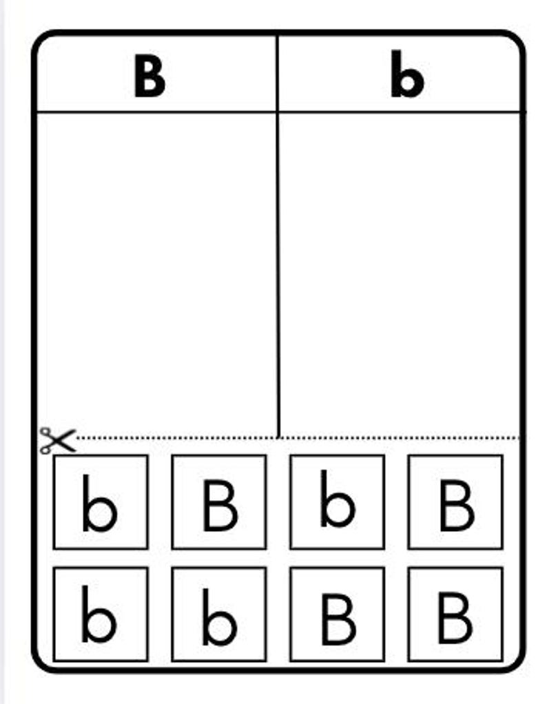 Capital/lowercase Letter Sort - Etsy