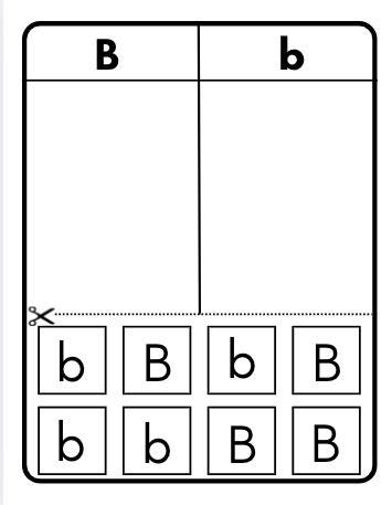 Capital/lowercase Letter Sort - Etsy
