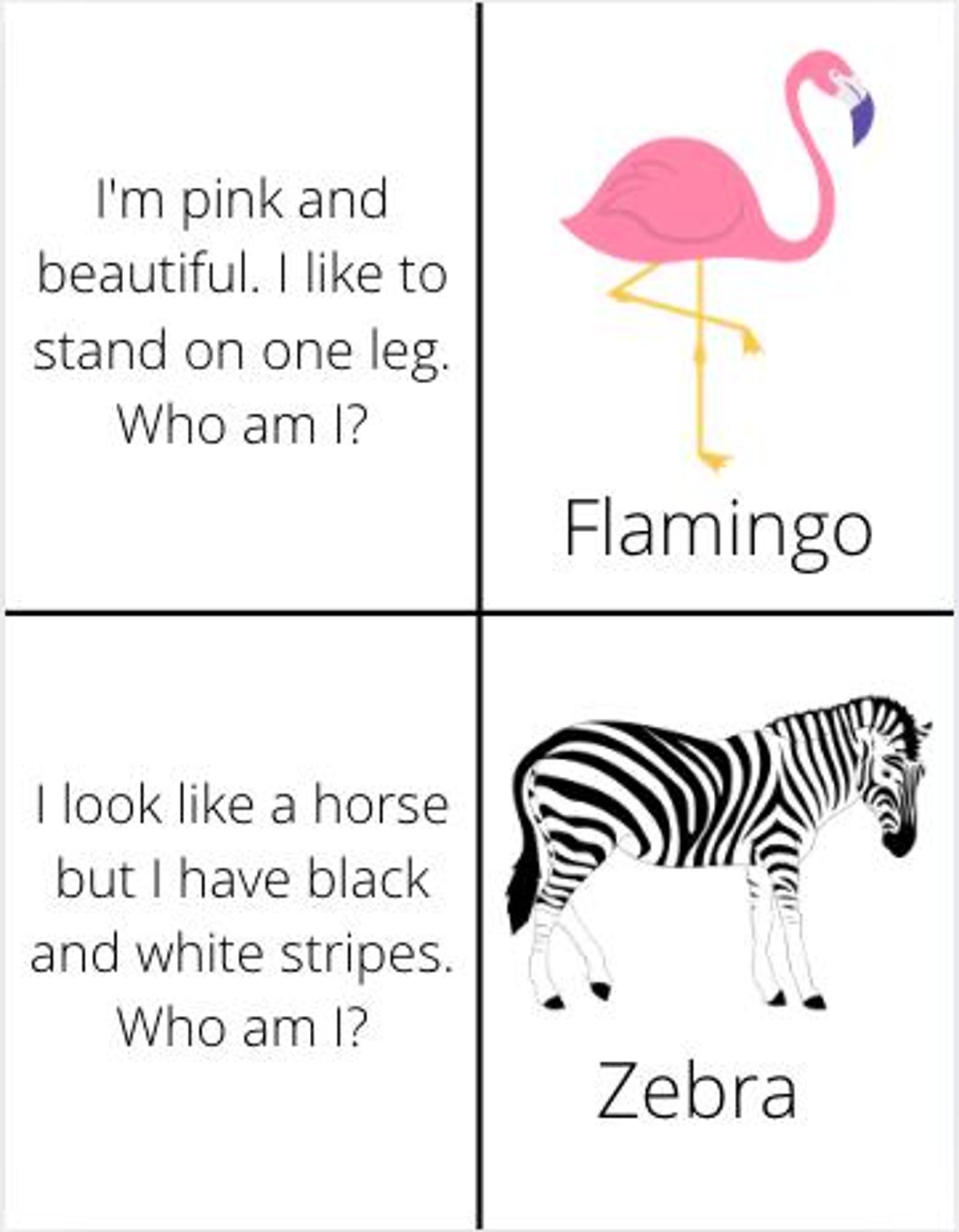 Zoo Riddles - Etsy