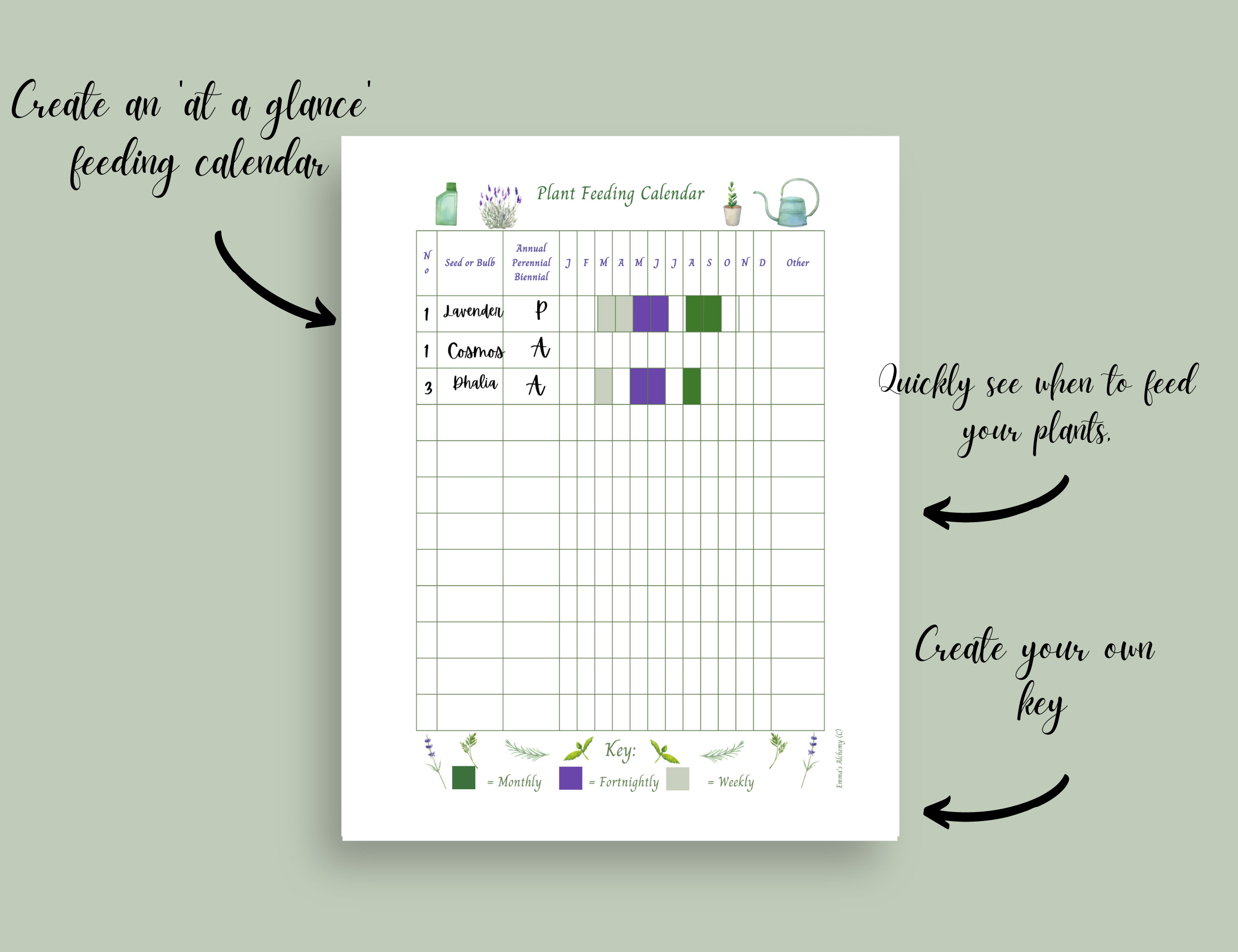 Plant Feeding Calendar Printable, Blank Digital Download. Minimalist ...