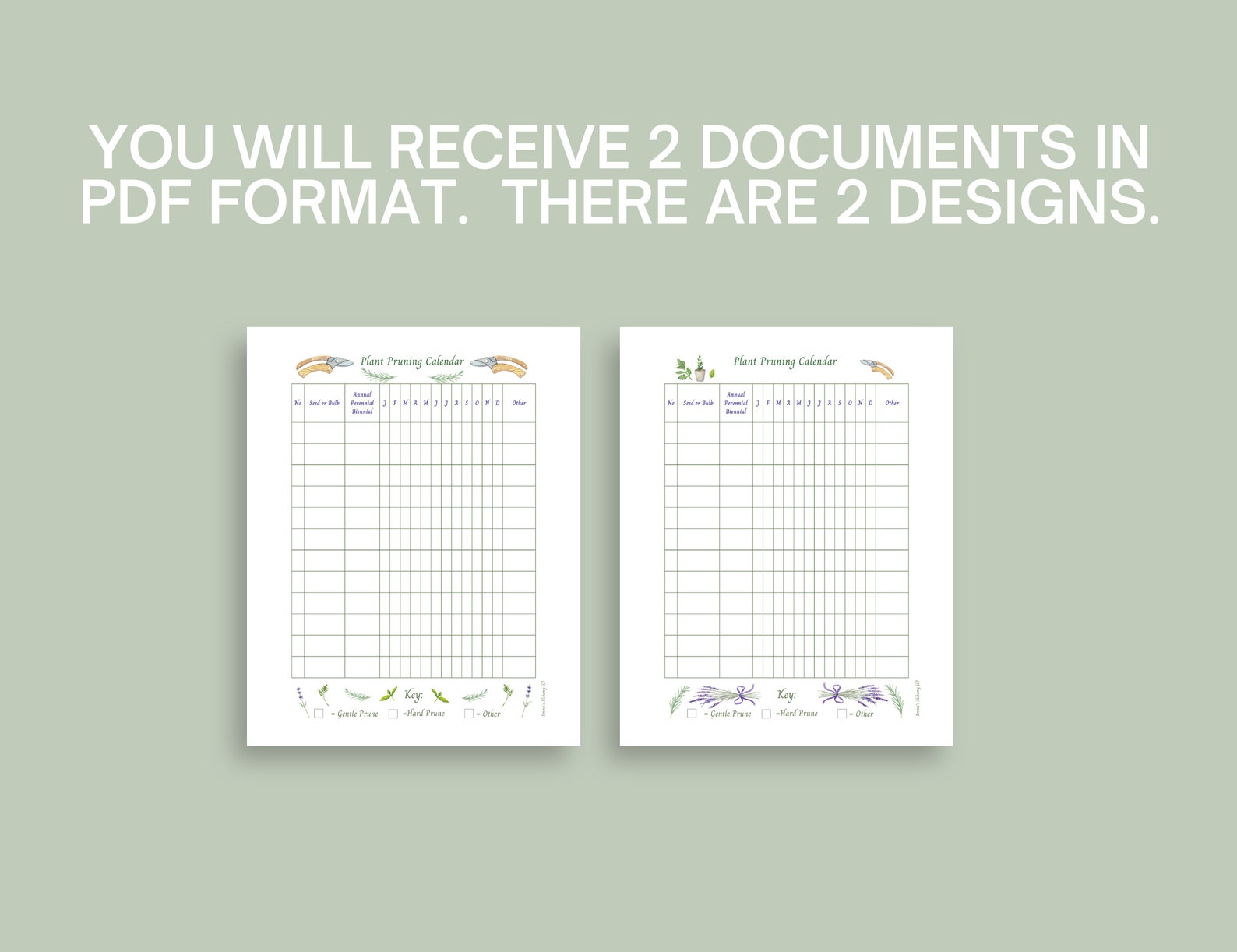 Plant Pruning Calendar Printable, Blank Digital Download. Minimalist ...