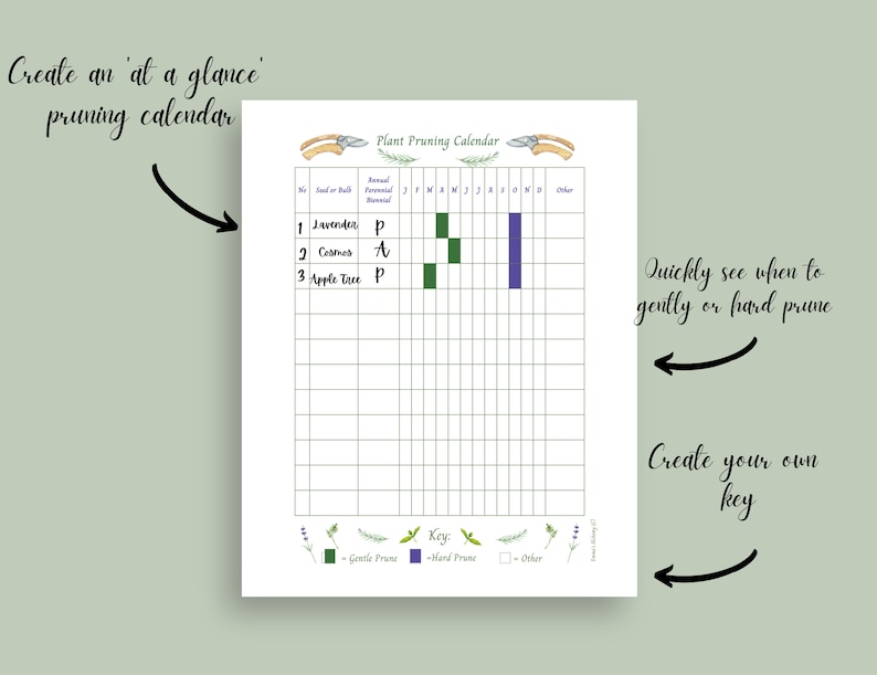 Plant Pruning Calendar Printable, Blank Digital Download. Minimalist ...