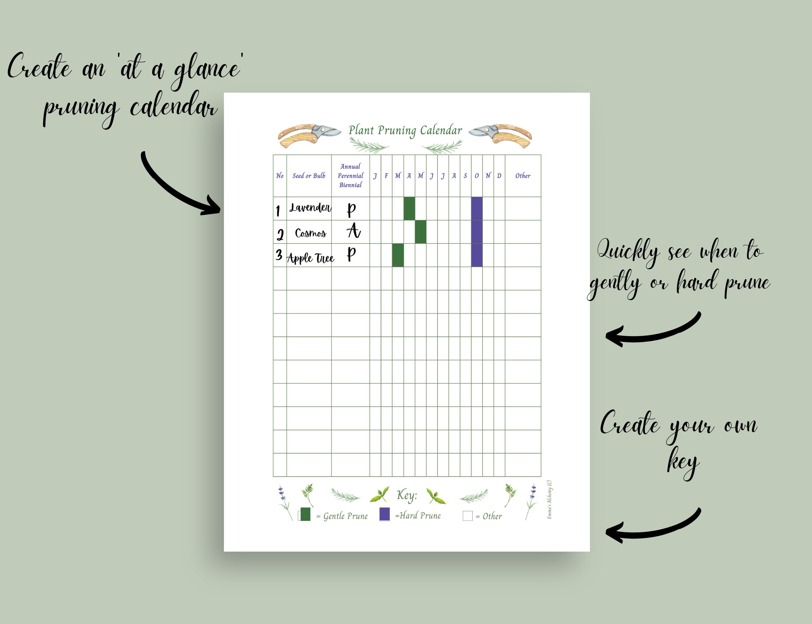 Plant Pruning Calendar Printable, Blank Digital Download. Minimalist ...