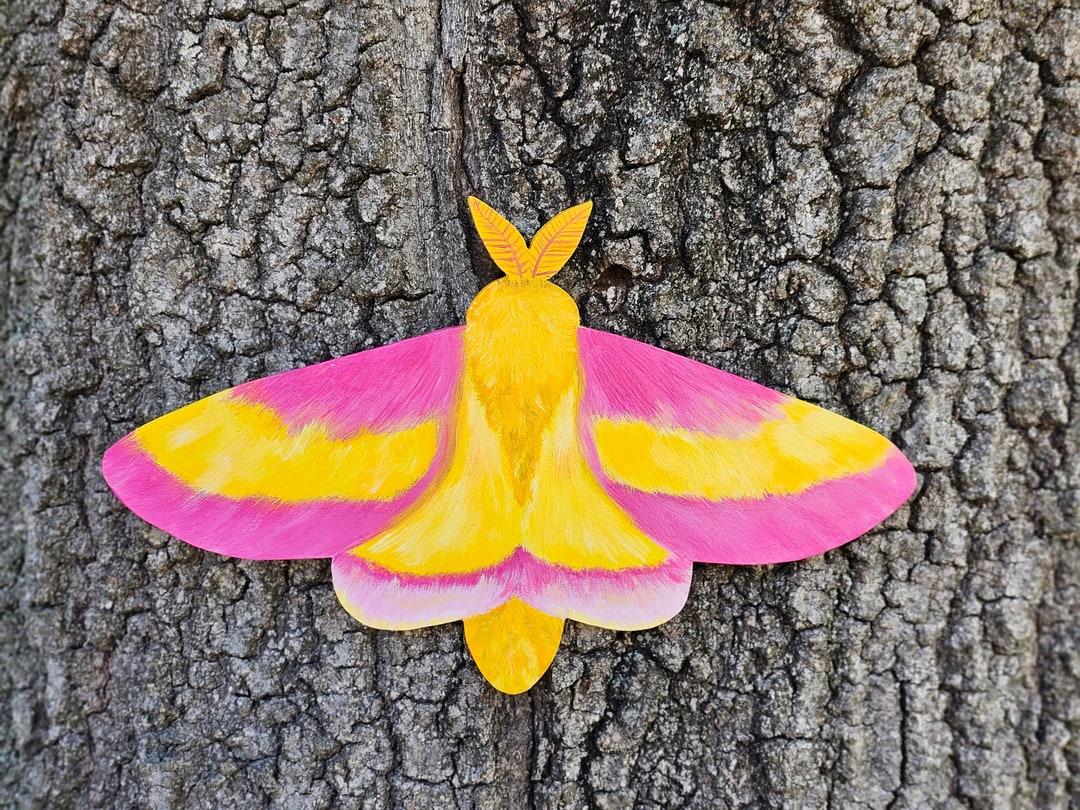 Rosie Maple Moth Wall Hanging - Etsy
