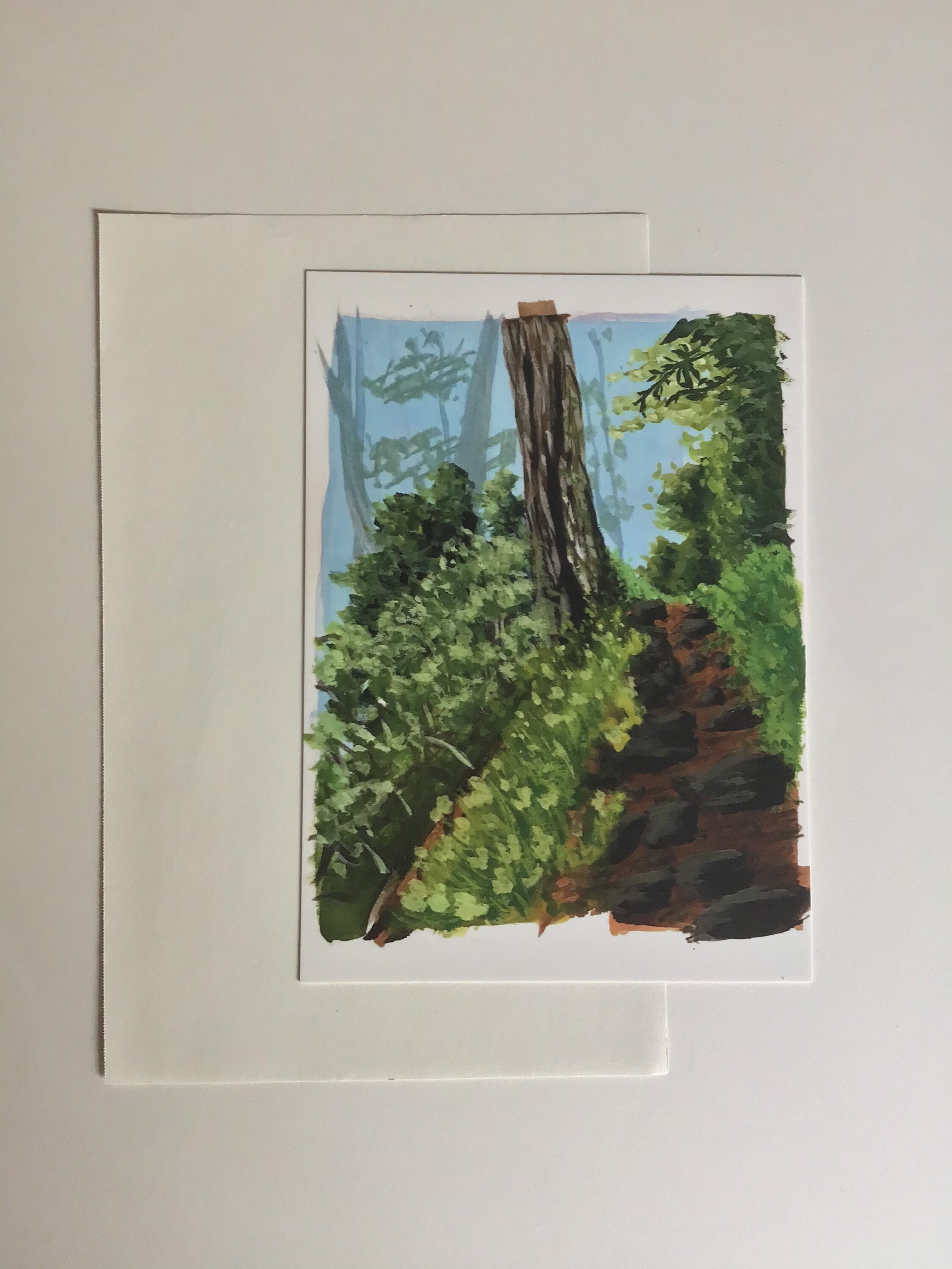 Forest Path High Quality Art Print - Forest Wall Art - Nature Décor ...