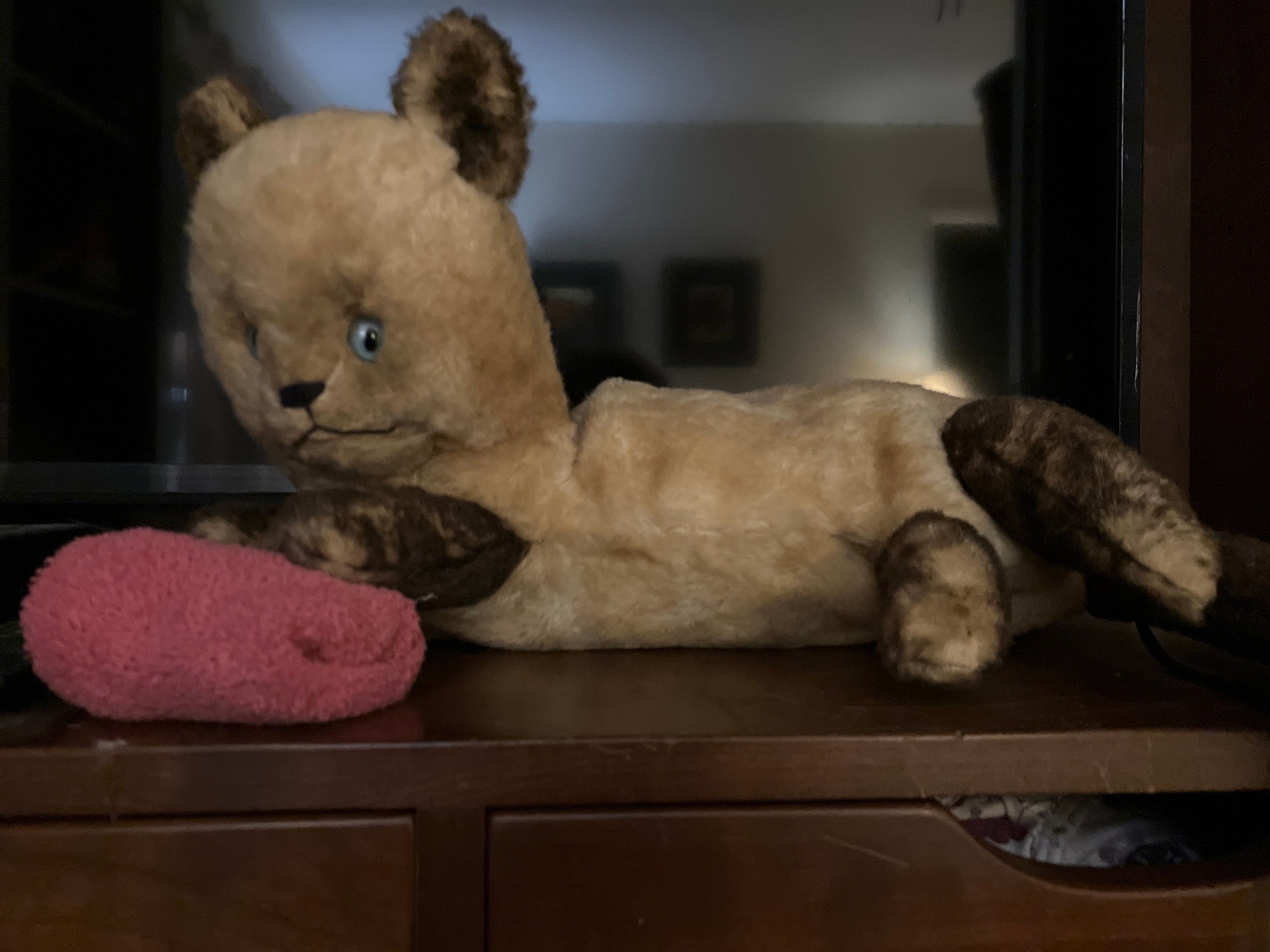 Antique Alpha Farnell Cat Mohair SALE - Etsy