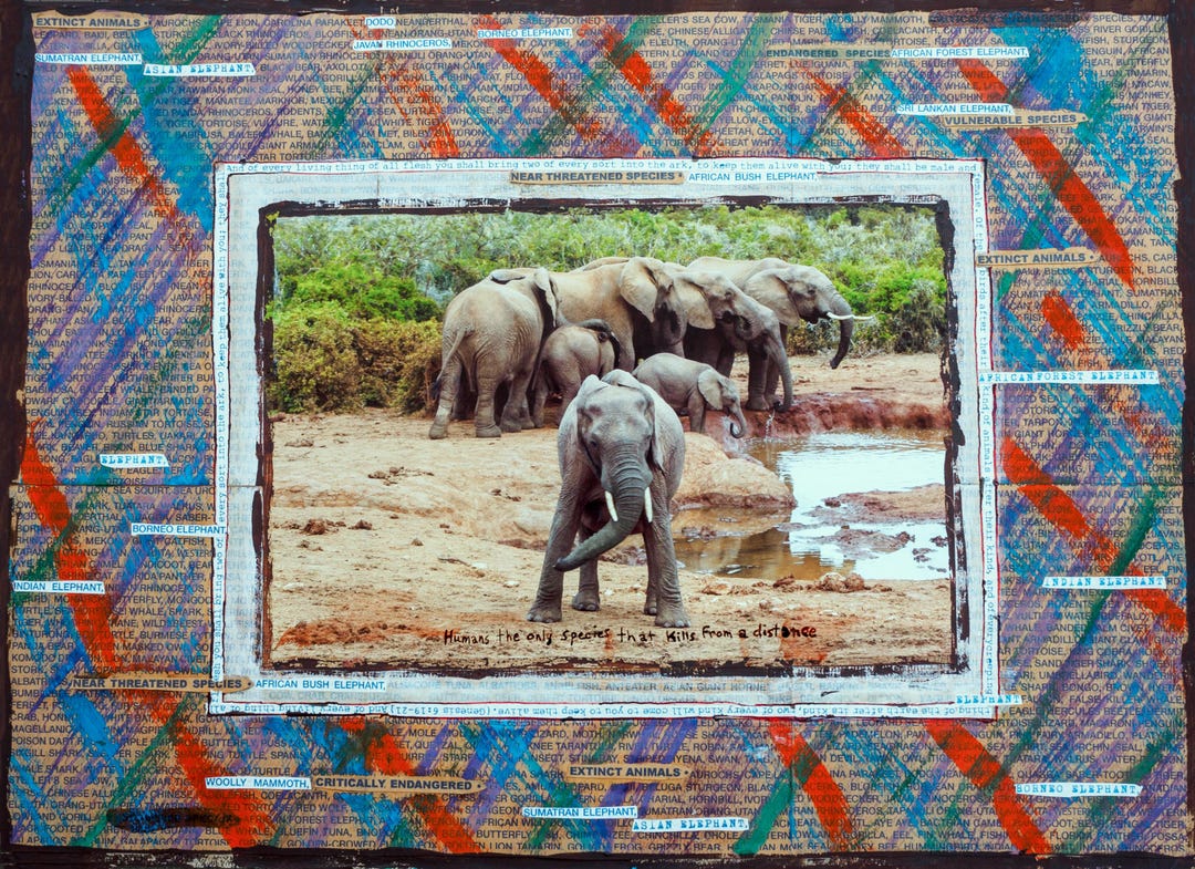 Elephant Mixed Media Collage – African Wildlife Conservation Art Print ...