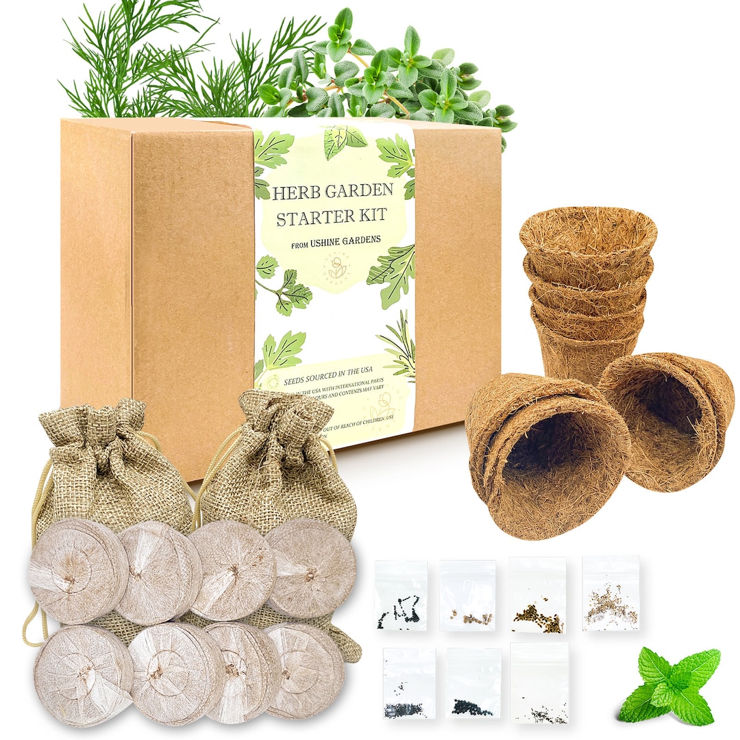 Pick 7 Herb Garden - Window Seed Starter Kit -cedar Wood Indoor Outdoor ...