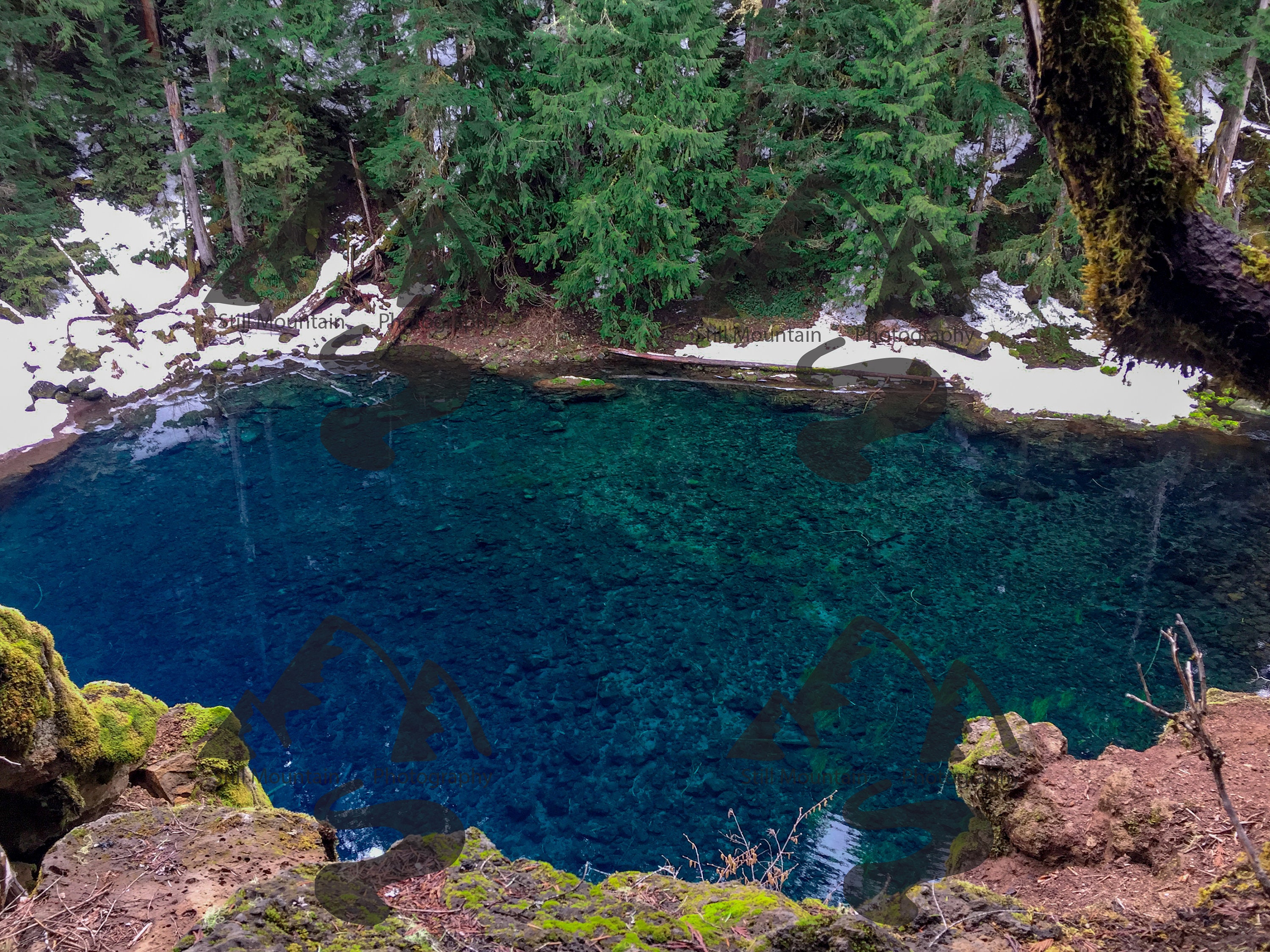Oregon Blue Pools | Tamolich Blue Pool | Tamolich Falls | the Blue Pool ...