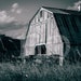 Rustic Barn in Buda, Texas (B&W, Landscape) Digital Download - Etsy