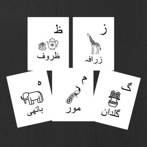Urdu Alphabet Flashcards - Learning Made Easy for Kids & Adults Alike ...