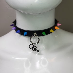 Transgender, Gay, Lesbain Nonbinary Pride, Feminist Resist, Leather ...