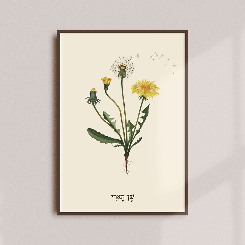 LazyJunePrints - Etsy