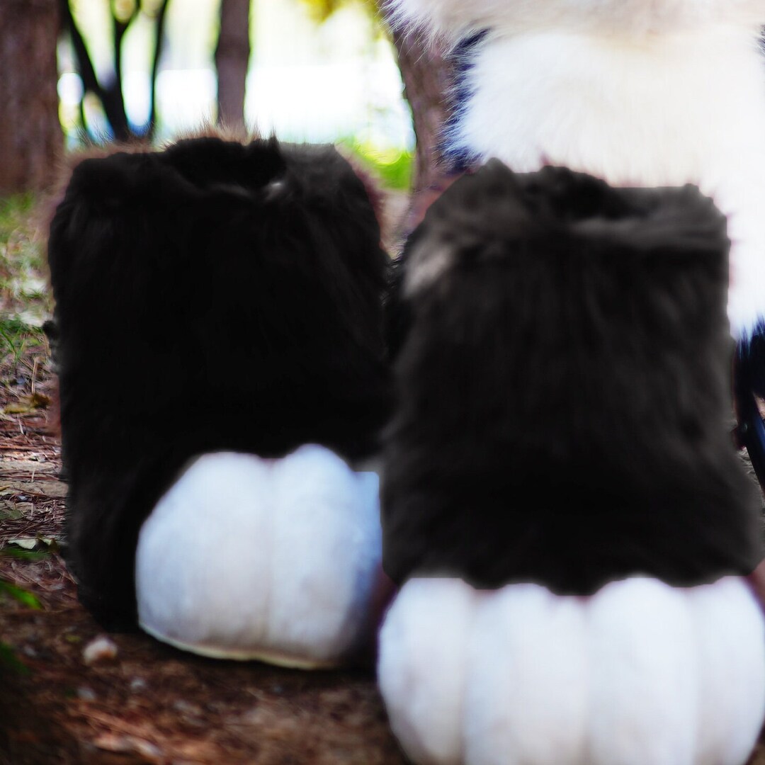 Fursuit Feet Paws Toony Foot Paw Kemono Foot Paw Cat Paws - Etsy