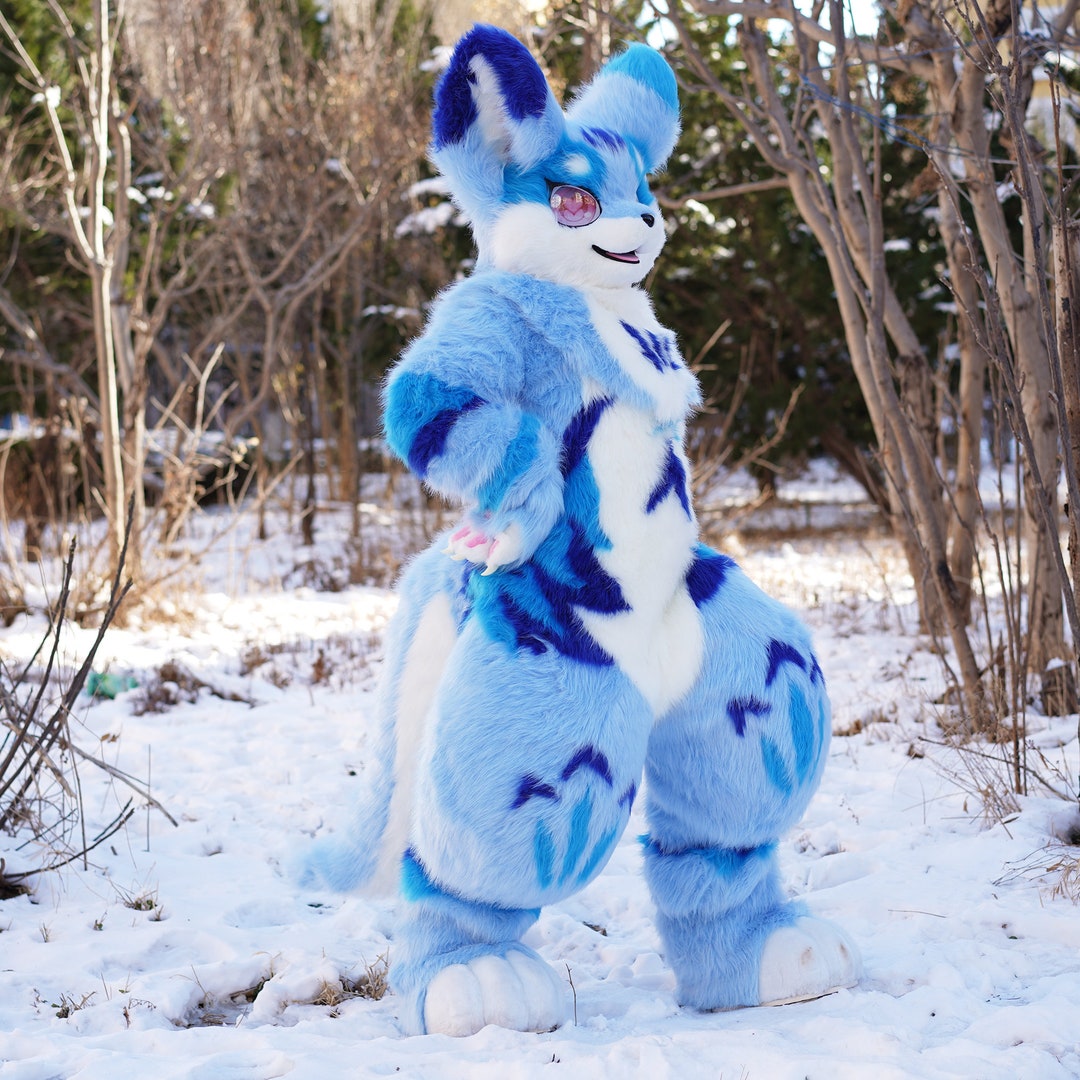 Pre-made Blue Full Fursuit ,custom Furry Cosplay Cloth ,full Suit Commission, Handmade Full ...