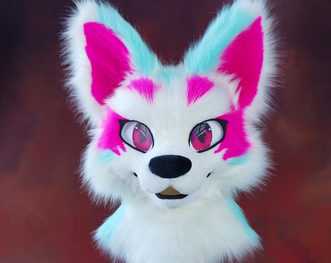 Fursuit Head Mask Gift | Custom Toony Animal Character Hood ...