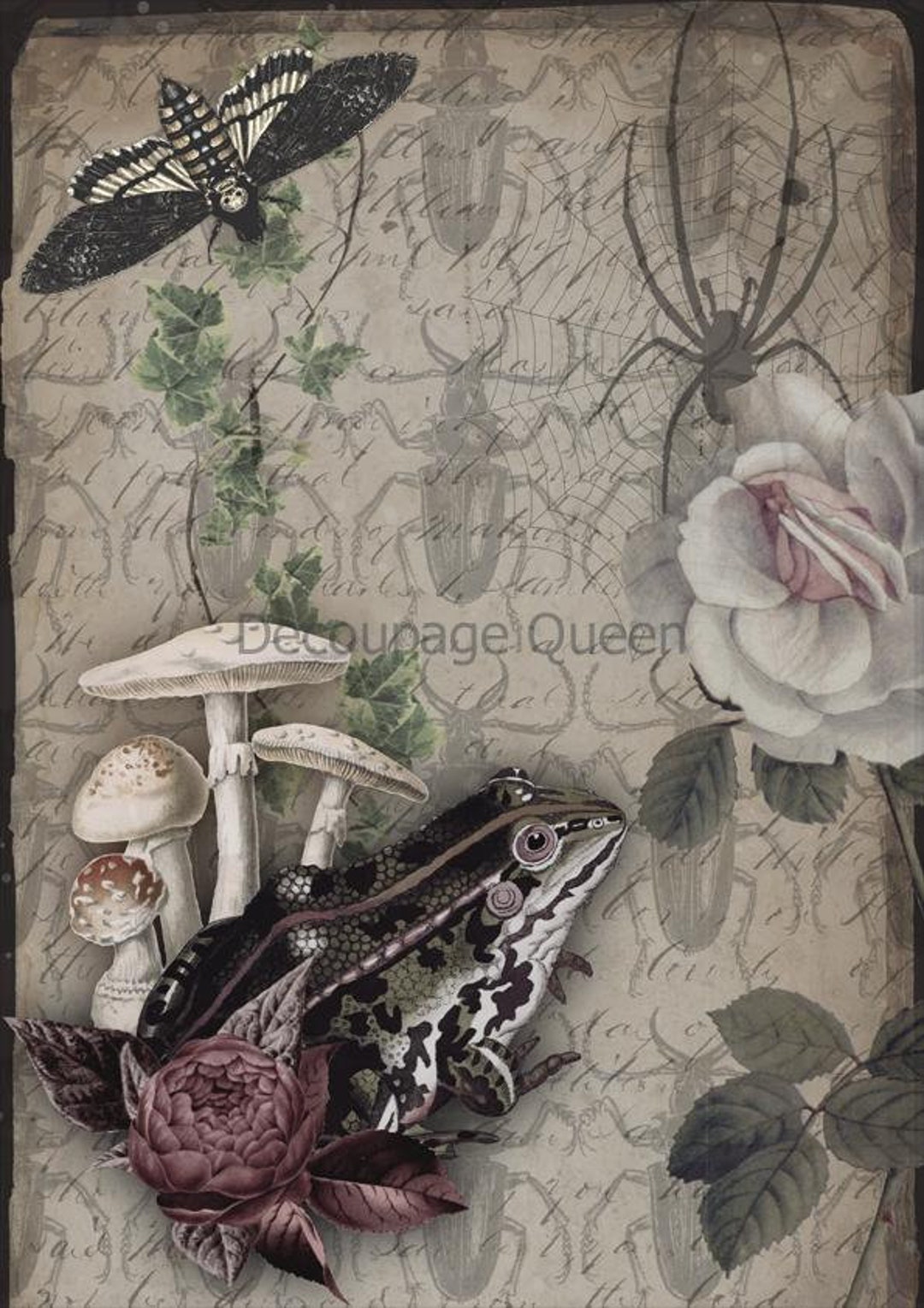 Decoupage Queen A3 & A4 Rice Paper Dainty and the Queen - Diary Entries ...