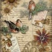 Decoupage Queen A2 & A4 Rice Paper Autumn Birds - Etsy
