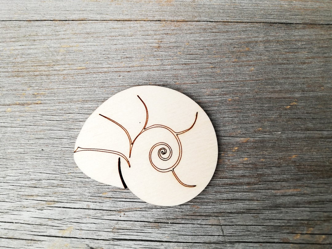 Snail Seashell, Sea Snail Animals - Wood Cutout Shapes DIY, Unfinished ...