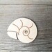 Snail Seashell, Sea Snail Animals - Wood Cutout Shapes DIY, Unfinished ...
