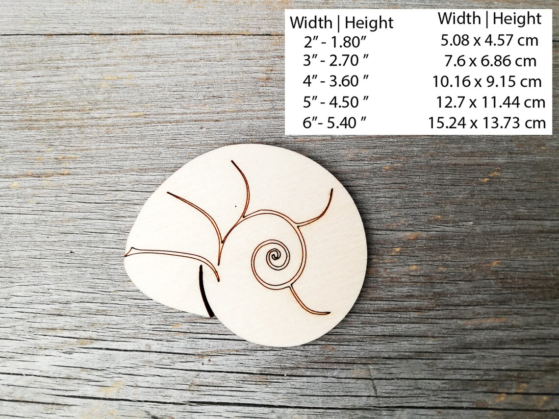 Snail Seashell, Sea Snail Animals - Wood Cutout Shapes DIY, Unfinished ...