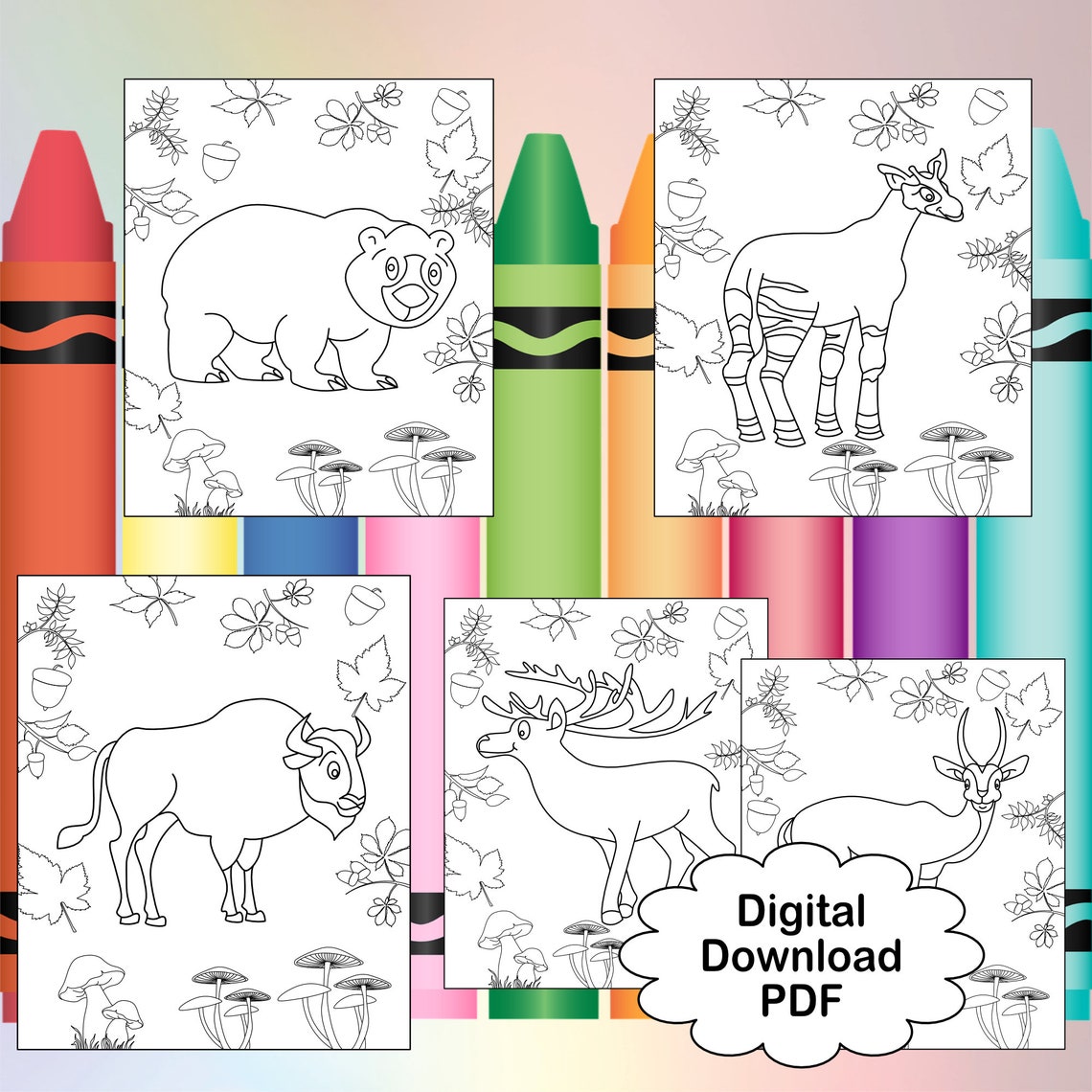 Coloring Pages Printable Woodland Animals Coloring Book - Etsy