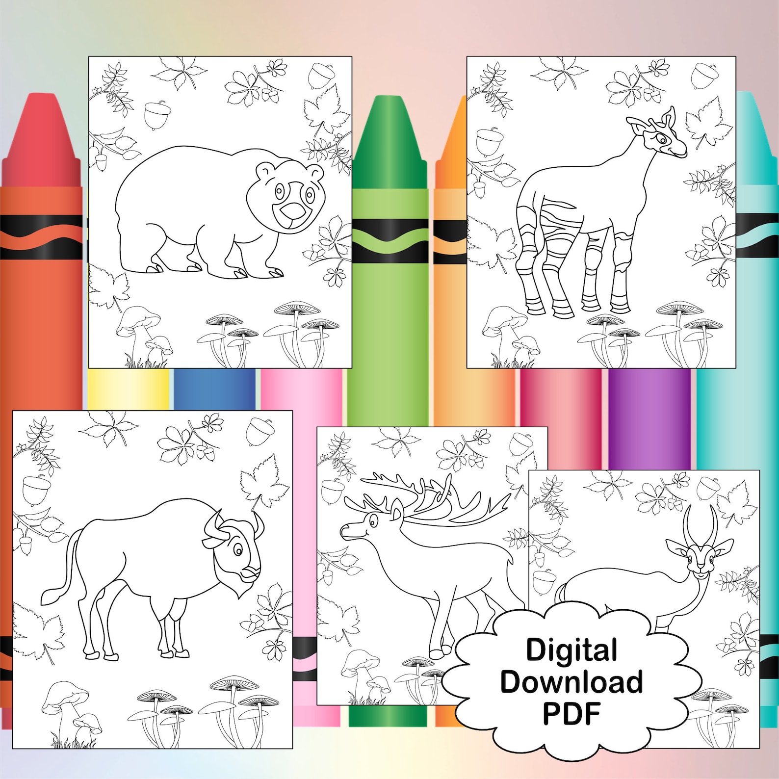 Coloring Pages Printable Woodland Animals Coloring Book - Etsy