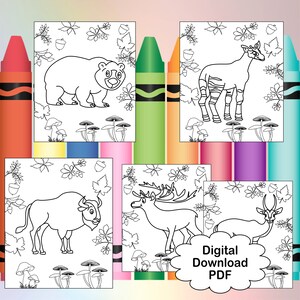 Coloring Pages Printable, Woodland Animals Coloring Book, Printable ...