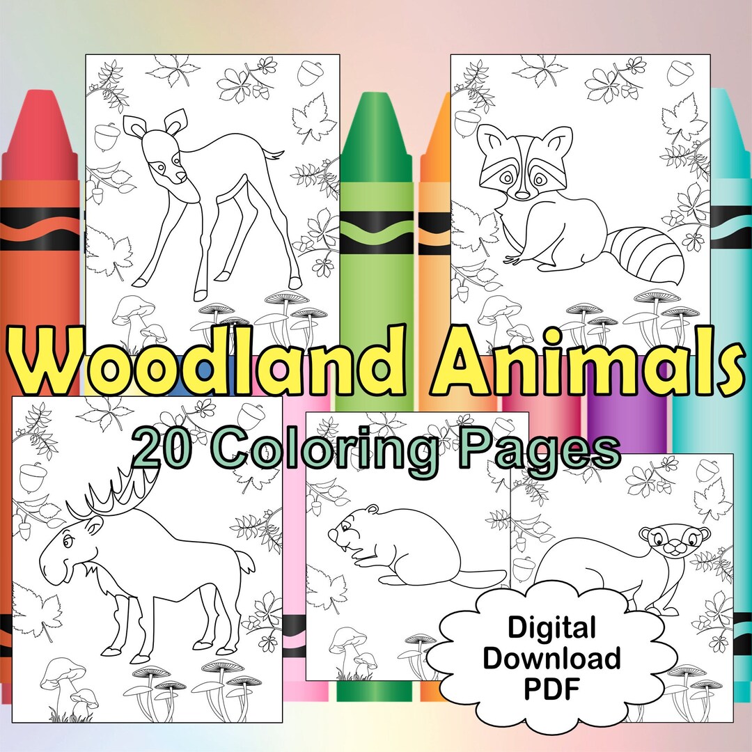 Coloring Pages Printable Woodland Animals Coloring Book - Etsy