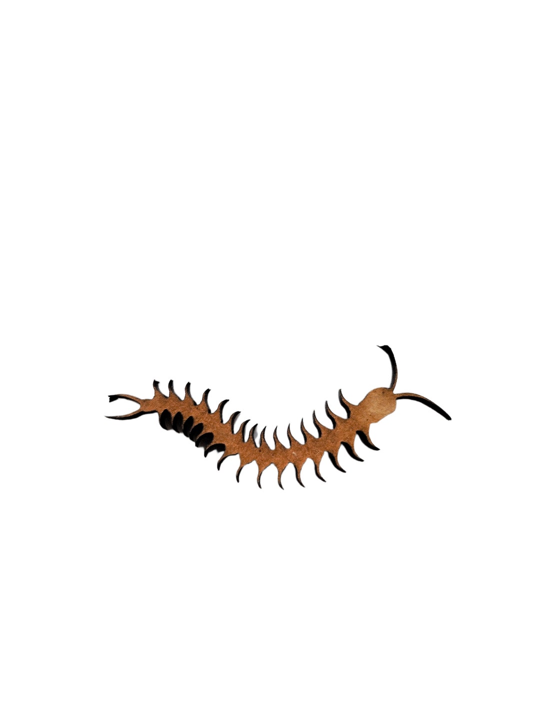 306 Wooden Centipede MDF Craft Shapes, Blank, Scrapbook, Decoration ...