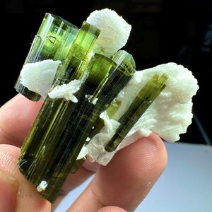 Tourmaline Crystal Cluster With Albite Matrix Combine Specimen ...