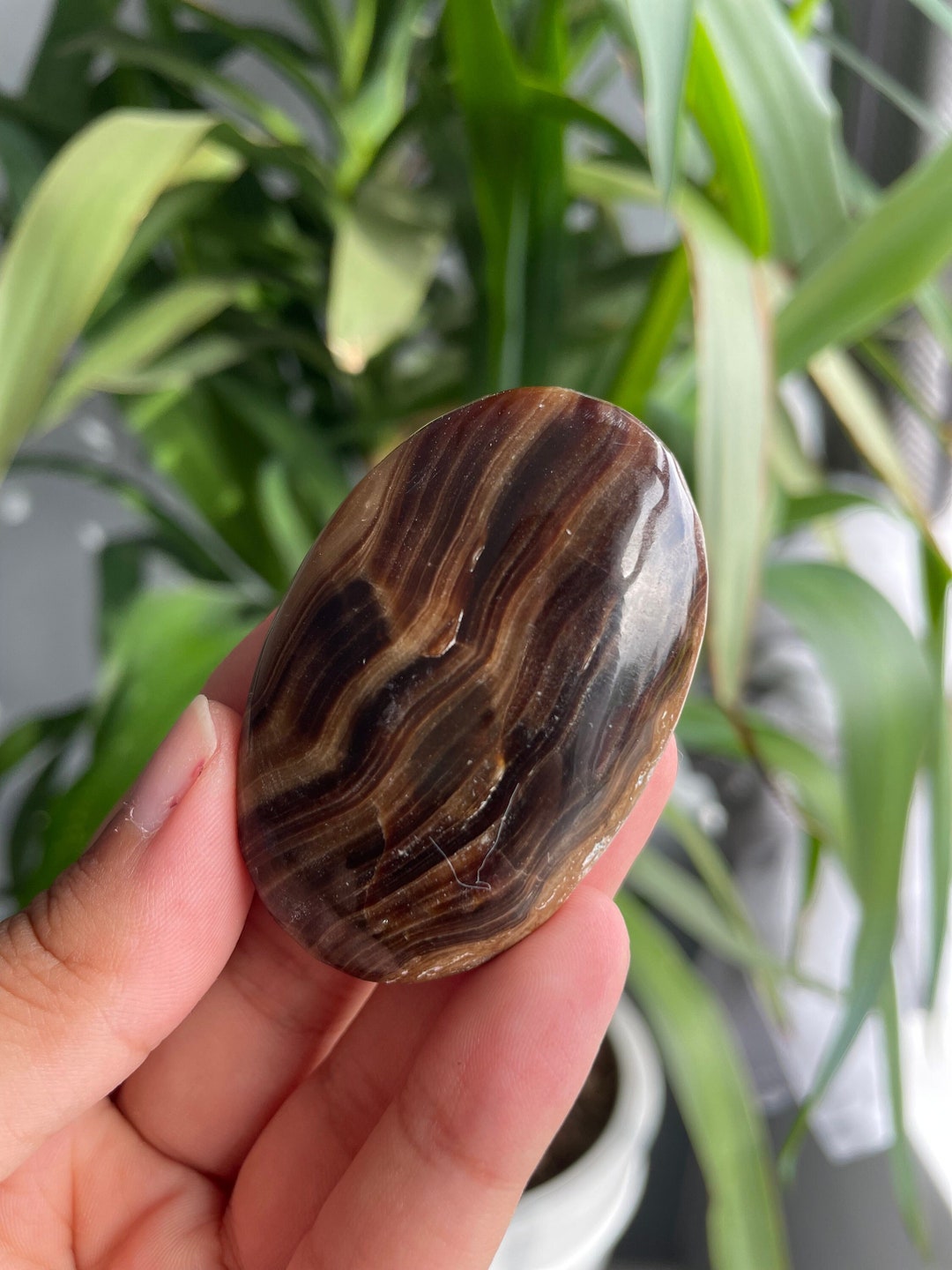 RARE Chocolate Calcite Palm Stone, Brown Calcite, Healing Calcite ...
