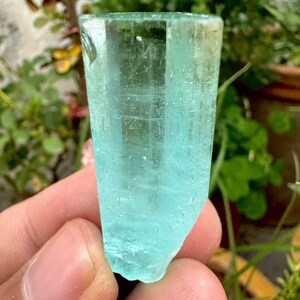 Aesthetic Blue Aquamarine Crystal . Minerals , Mineral Specimens , Gems ...