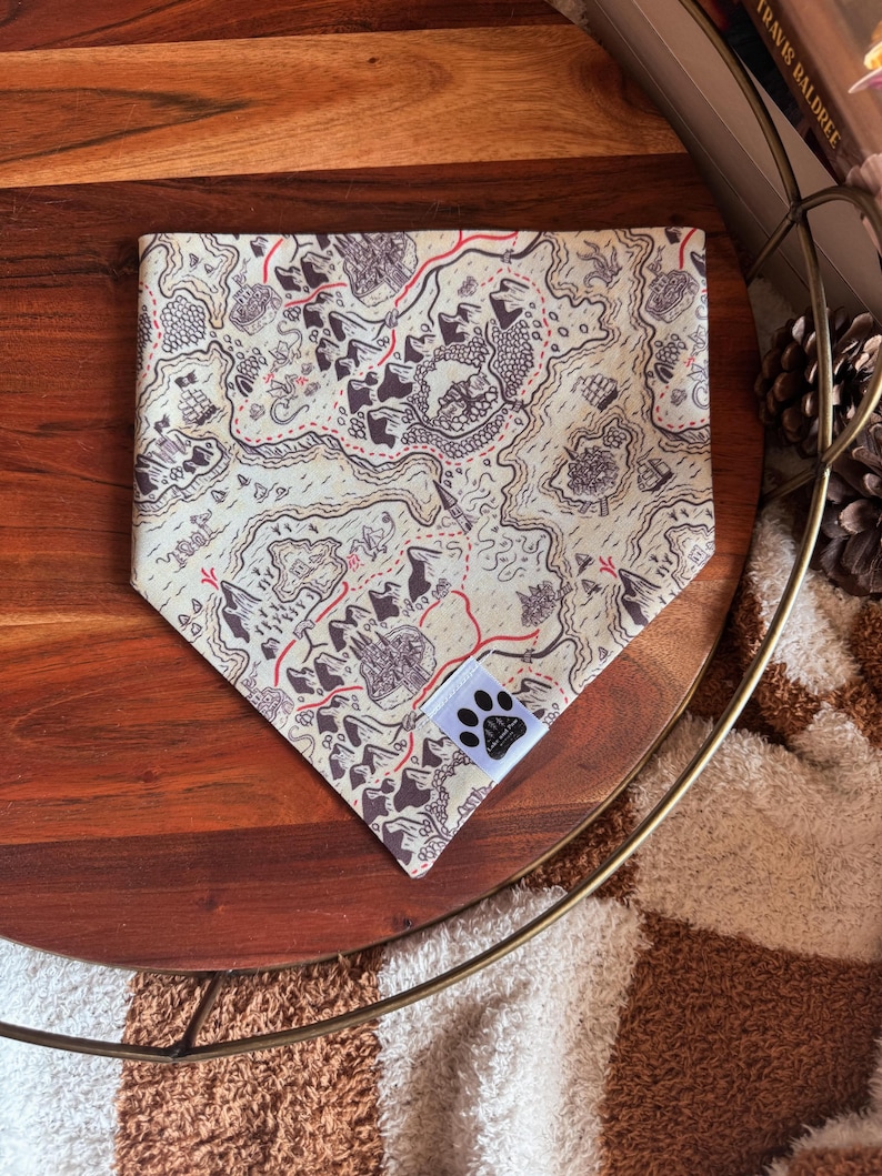Main Quest | Cat/dog Snap on Reversible Pet Bandana | Fantasy | Fantasy ...