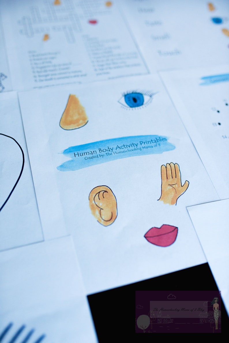 The Homeschooling Mama of 3 Human Body Activity Printables - Etsy