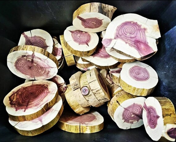 Red Cedar Slices Coasters Cookies Red Cedar Rounds Cedar - Etsy