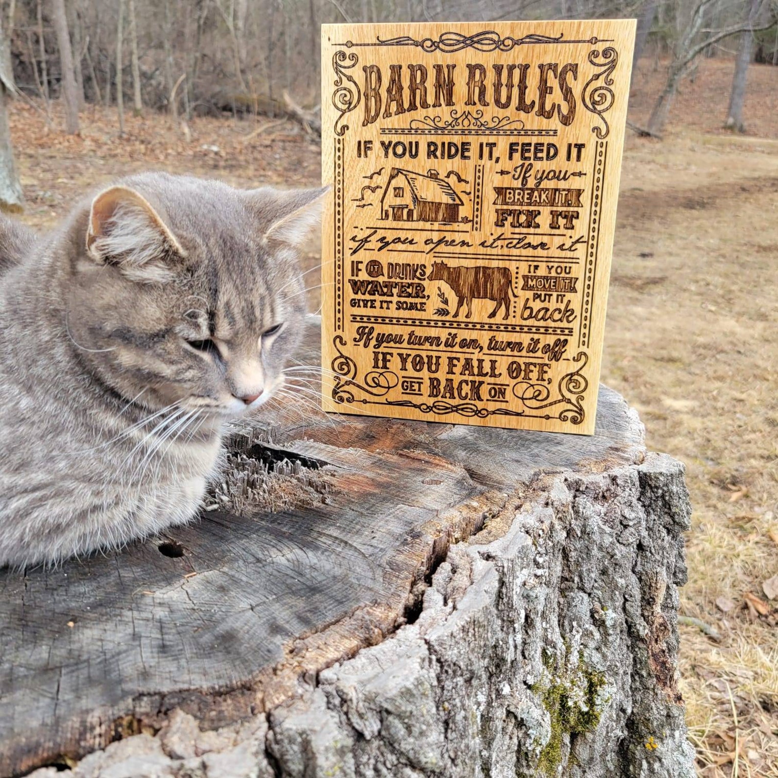 Farm Sign Barn Rules Rules Sign Farm Decor Farmhouse - Etsy