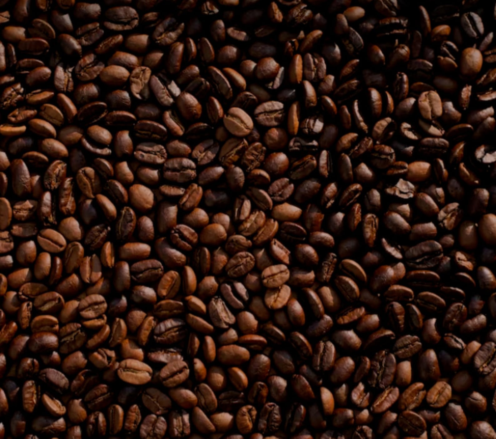 Geisha Coffee KOTOWA Coffee PANAMA Coffee Gourmet COFFEE Panamanian ...