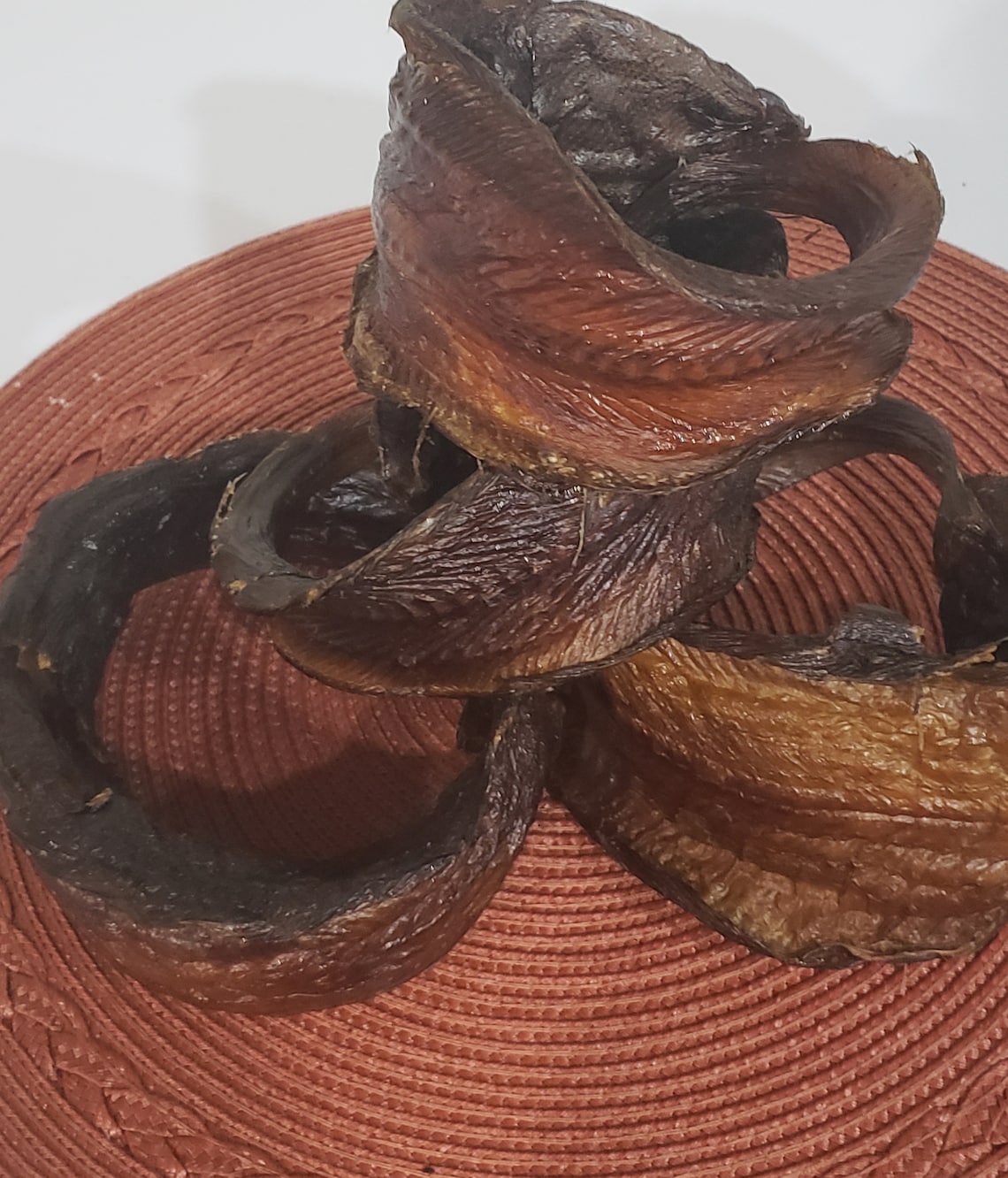 Abo Fish Eja Abo sole Fish | Etsy