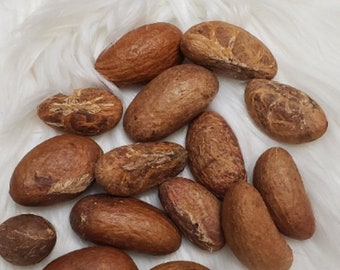 Nuts & Seeds | Bitter Kola | Orogbo | Gooro | Garcinia Kola [ FREE ...