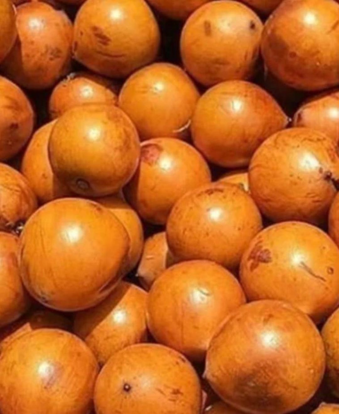 Cotonou Agbalumo/udara 12 Pieces - Etsy UK