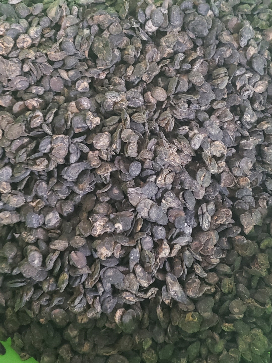 Dried Locust Beans/ Dawadawa - Etsy