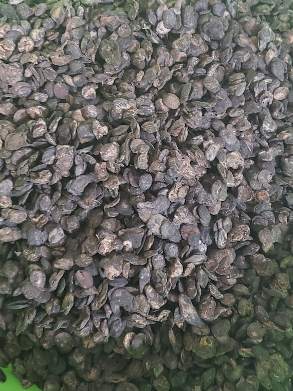 Dried Locust Beans/ Dawadawa - Etsy