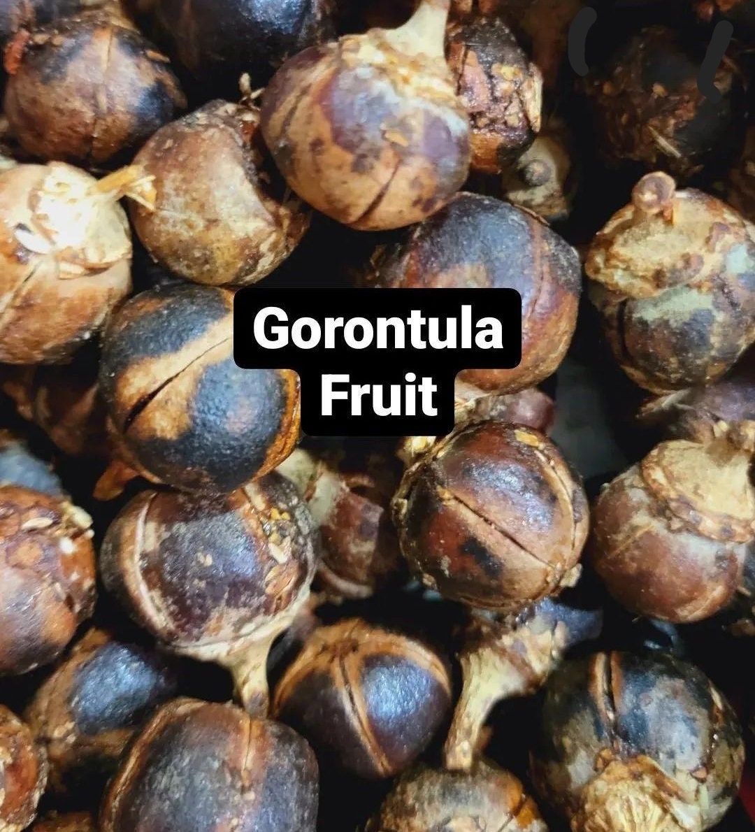 Gorontula Dried Fruit/kenyan Silky Kola - Etsy