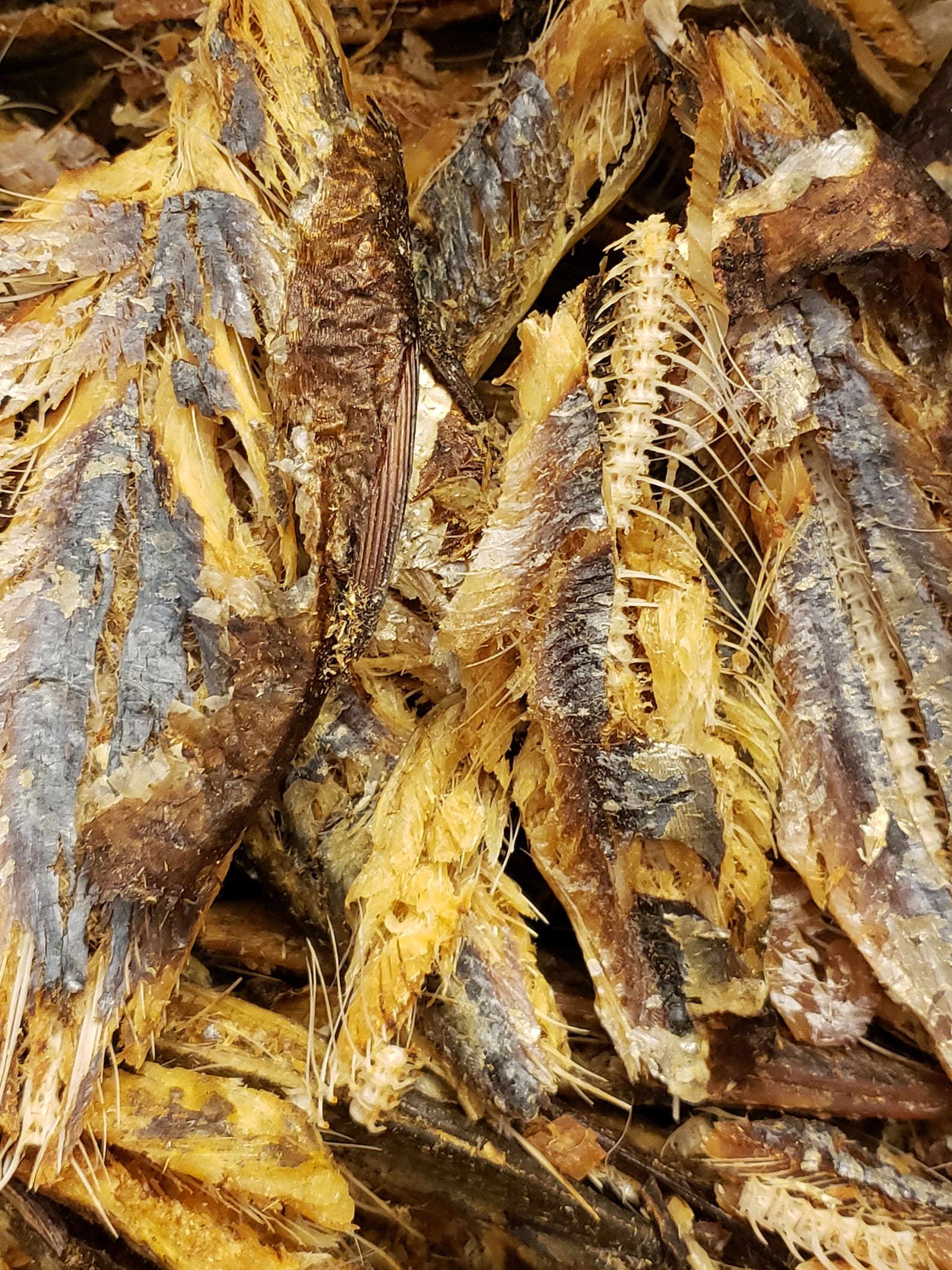 Bonga Fish/agbodo - Etsy UK