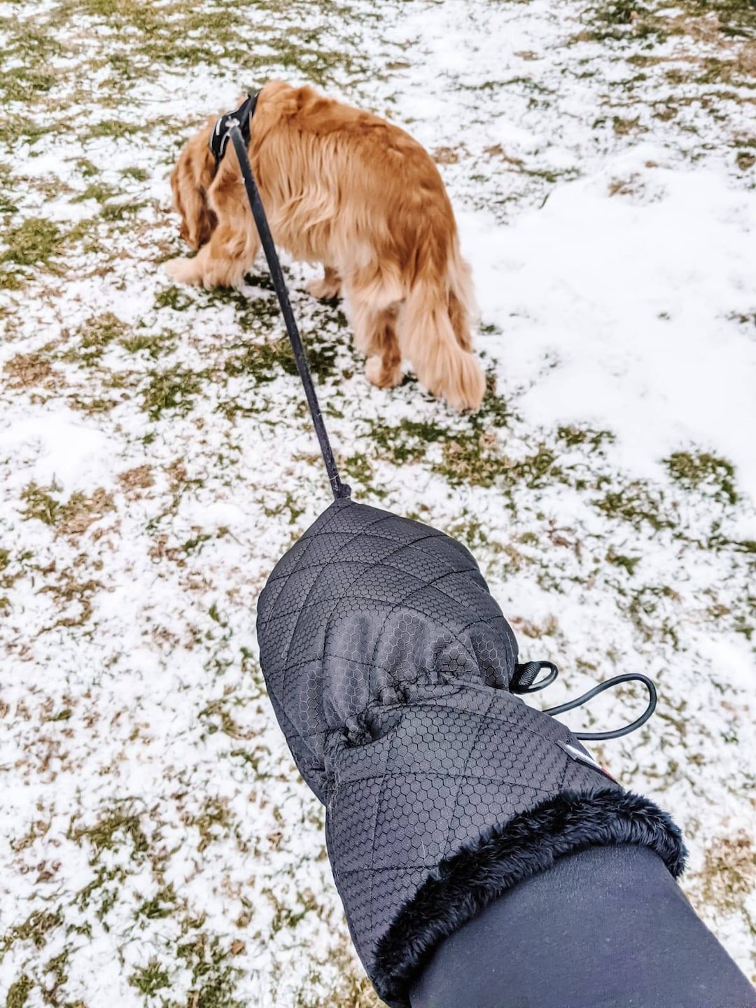 Leash Mitten for Dog Walking| Leash Holder |winter Mitten| Gift for Him ...