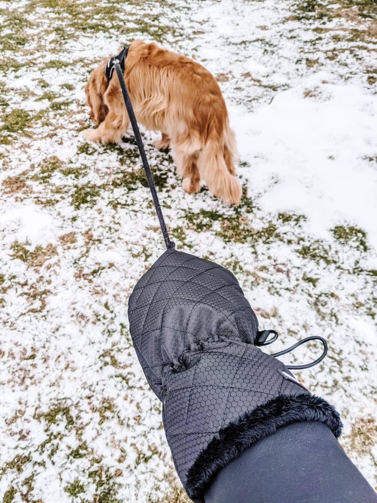 Leash Mitten for Dog Walking| Leash Holder |winter Mitten| Gift for Him ...