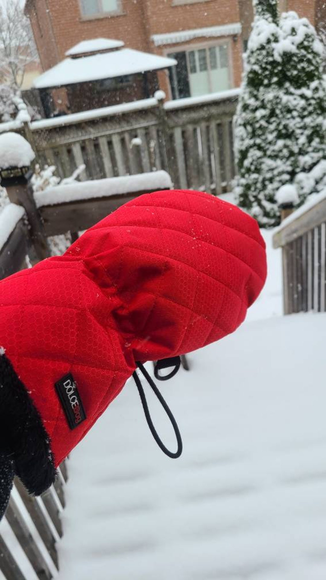 Leash Mitten | Gift for Dog Lover |dog Walking Mitten | Pet Accessory ...