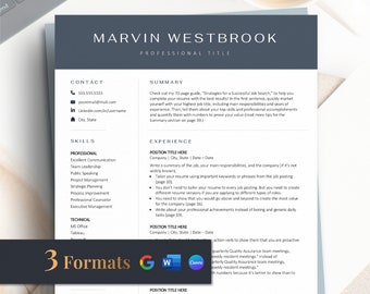 Modern Executive Resume Template, CEO Resume Template for Word, Google Docs & Apple Pages, C ...