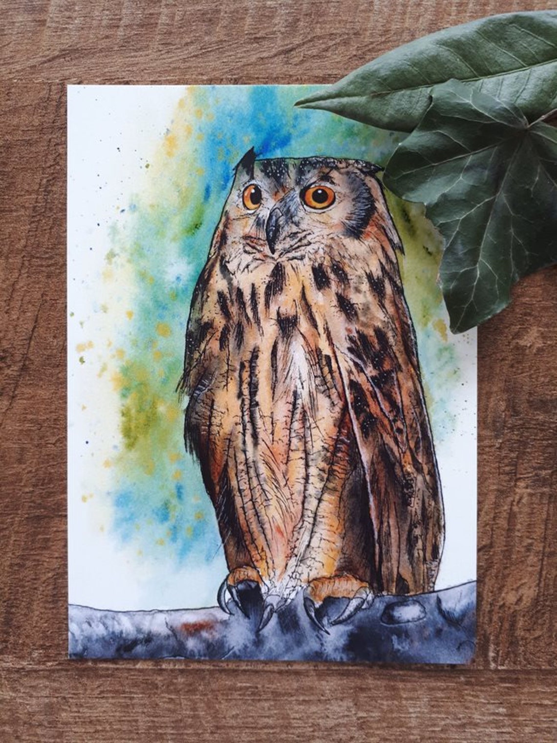 Nature Inspired Postcards (set of 6) - Etsy